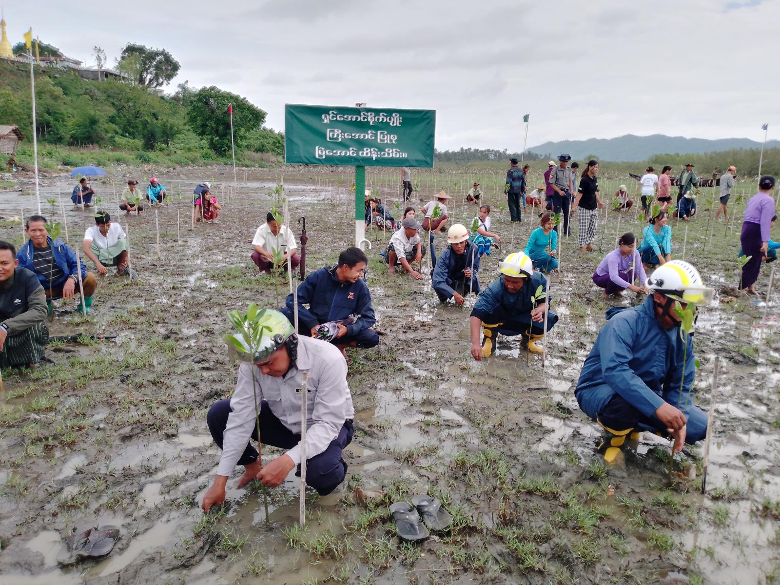 မြေပုံမြို့နယ်၌ မိုးရာသီ ဒီရေတောသစ်ပင်စိုက်ပျိုးပွဲတော်ကျင်းပ