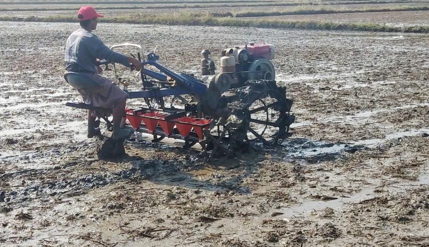 ပေါင်းတည်၌ မိုးစပါးစိုက်ပျိုးမှု လျာထားချက် ပြည့်မီကျော်လွန်ရေး ကွင်းဆင