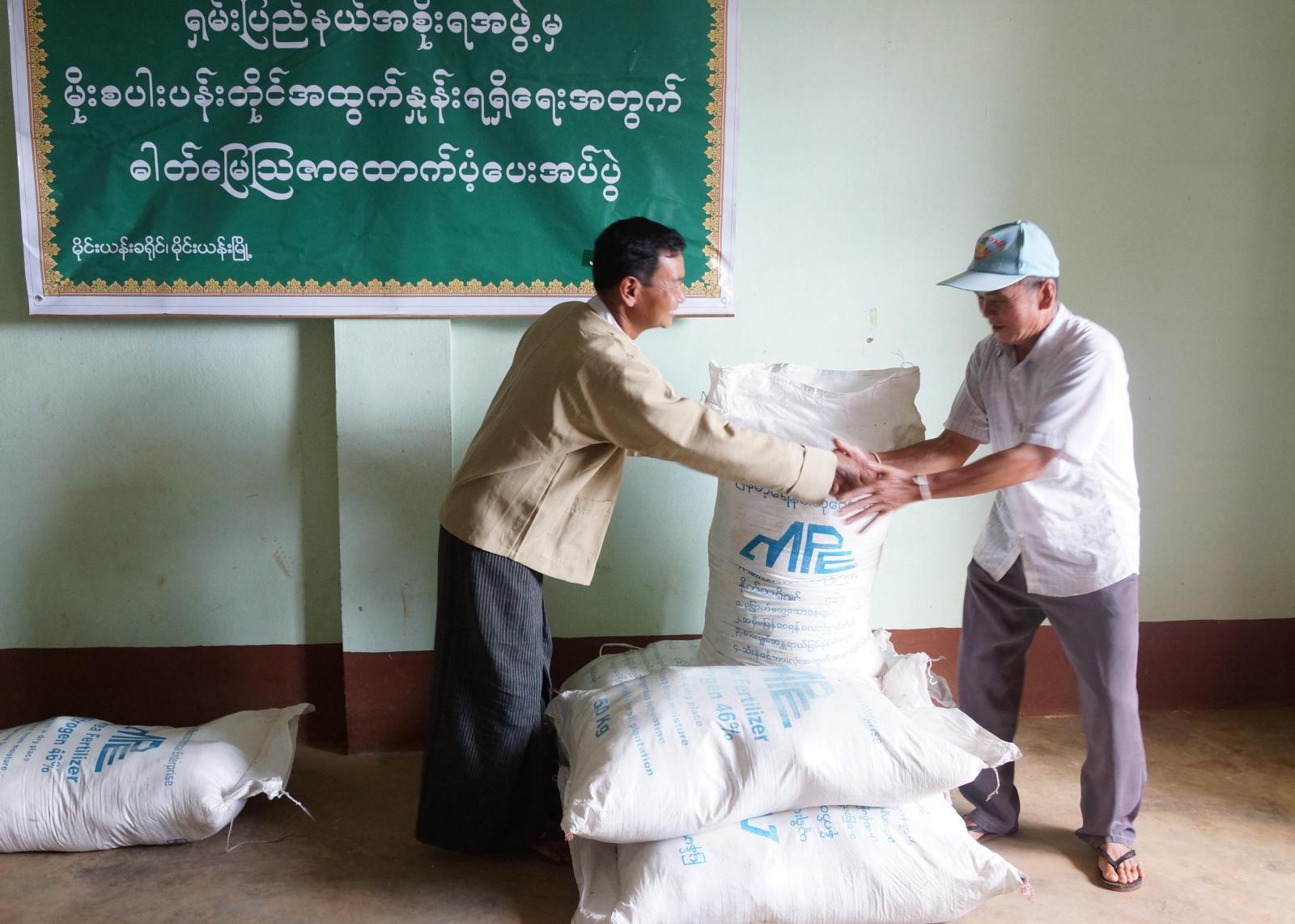 မိုင်းယန်းမြို့၌ မိုးစပါးပန်းတိုင်အထွက်နှုန်းရရှိစေရန် ယူရီးယားဓါတ်မ