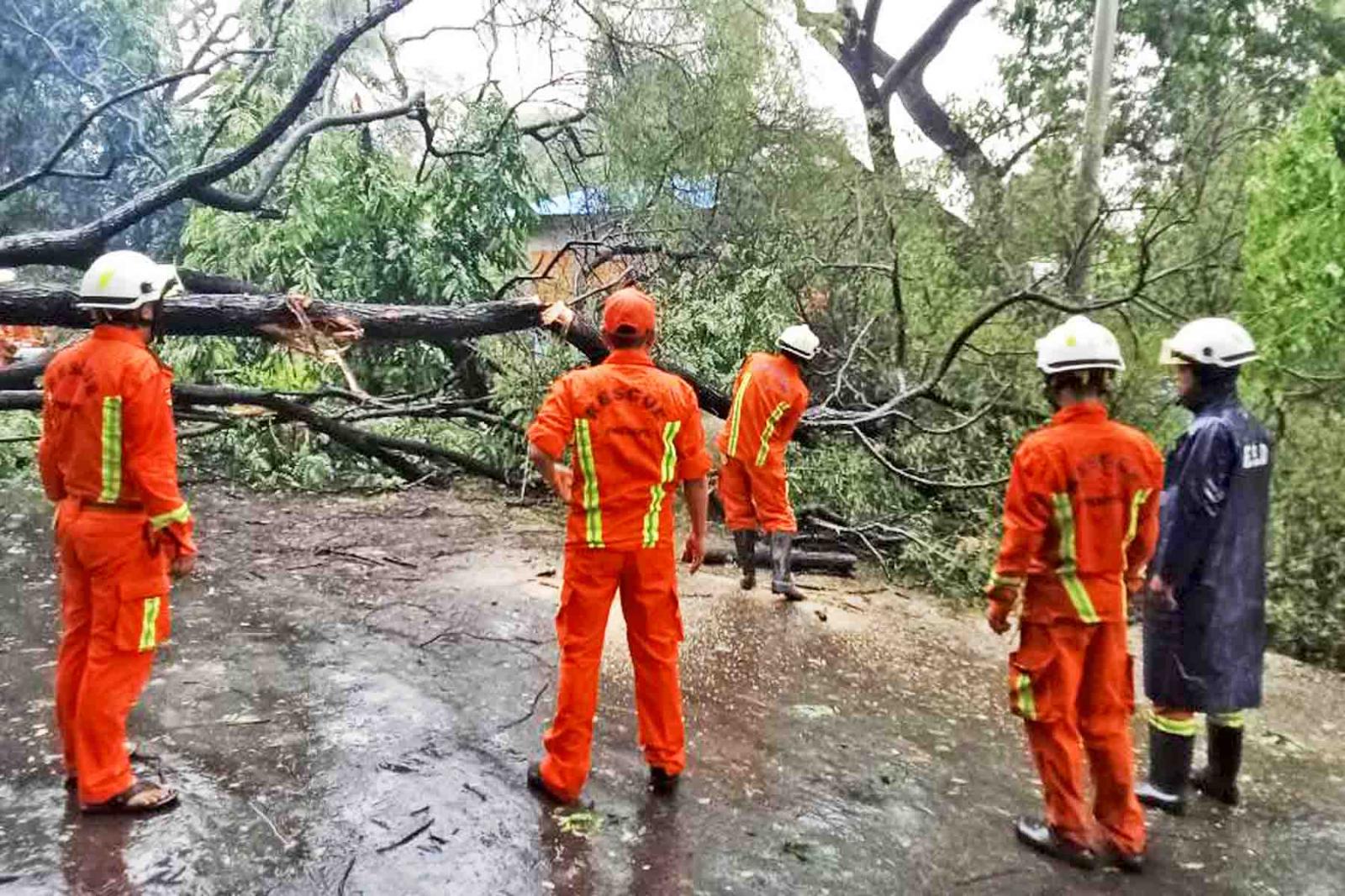 ပွင့်ဖြူမြို့နယ်၌ သစ်ပင်လဲကျ၍ ကားလမ်းပိတ်ဆို့နေမှုအား ခရီးသွားပြည်သူများ ယာဉ်အန္တရာယ်ကင်းစွာ သ