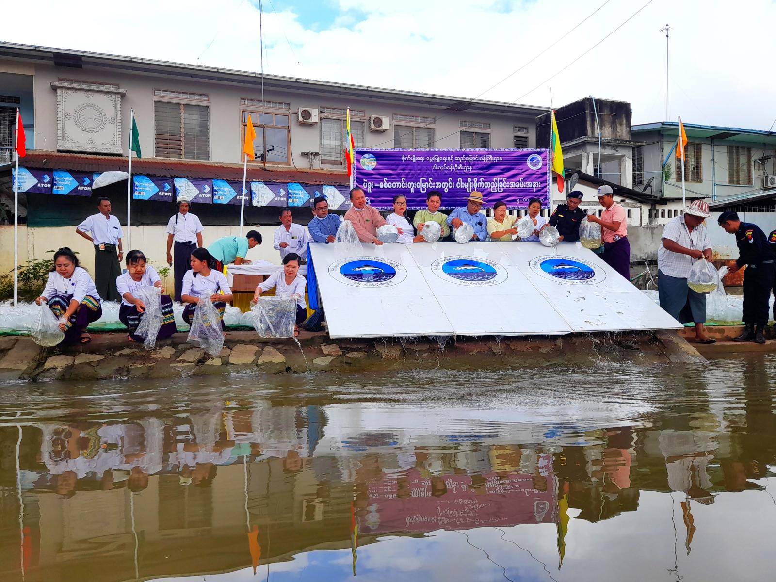 ဝေါမြို့နယ် ပဲခူး စစ်တောင်းတူးမြောင်းအတွင်းသို့ ငါးမျိုးစိုက်ထည့