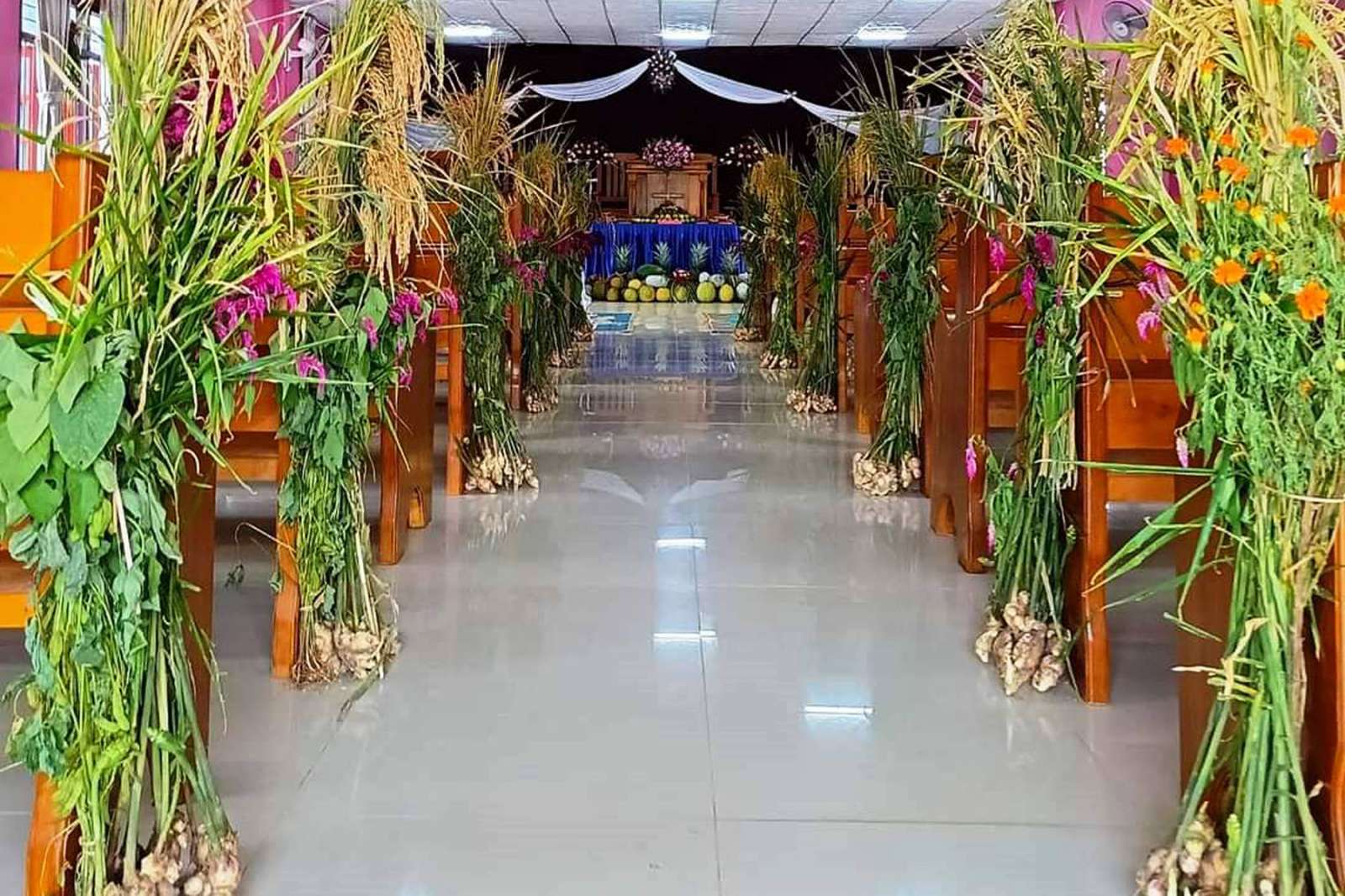 မိုင်းယုမြို့ နမ့်နော်ကျေးရွာ၌ ကောက်သစ်စားတော်ပွဲ ကျင်းပ Information