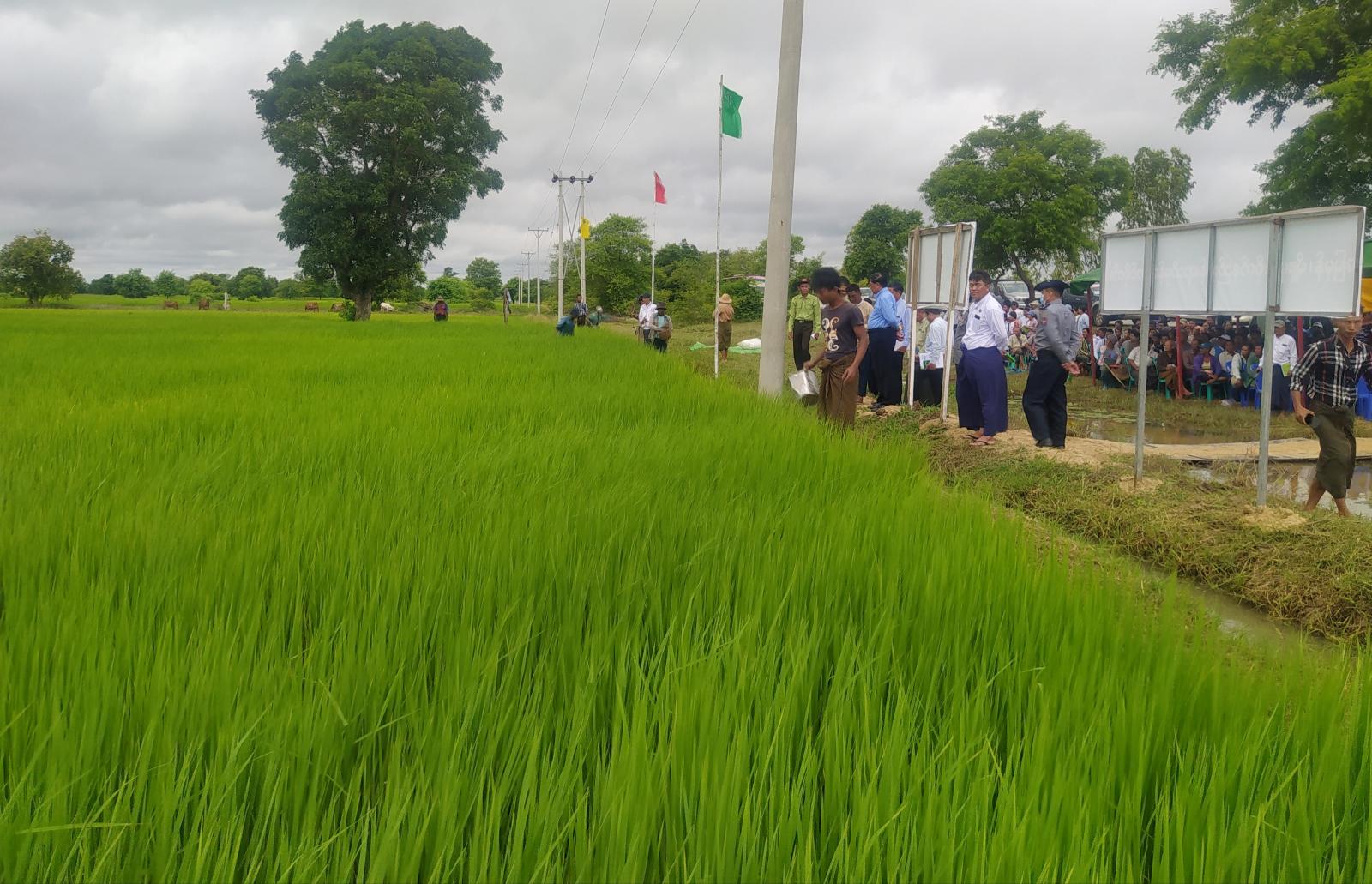 မကွေးတိုင်းဒေသကြီးအစိုးရအဖွဲ့ ဝန်ကြီးချုပ် ဦးတင့်လွင် ၊မြို့သစ်မြို့နယ
