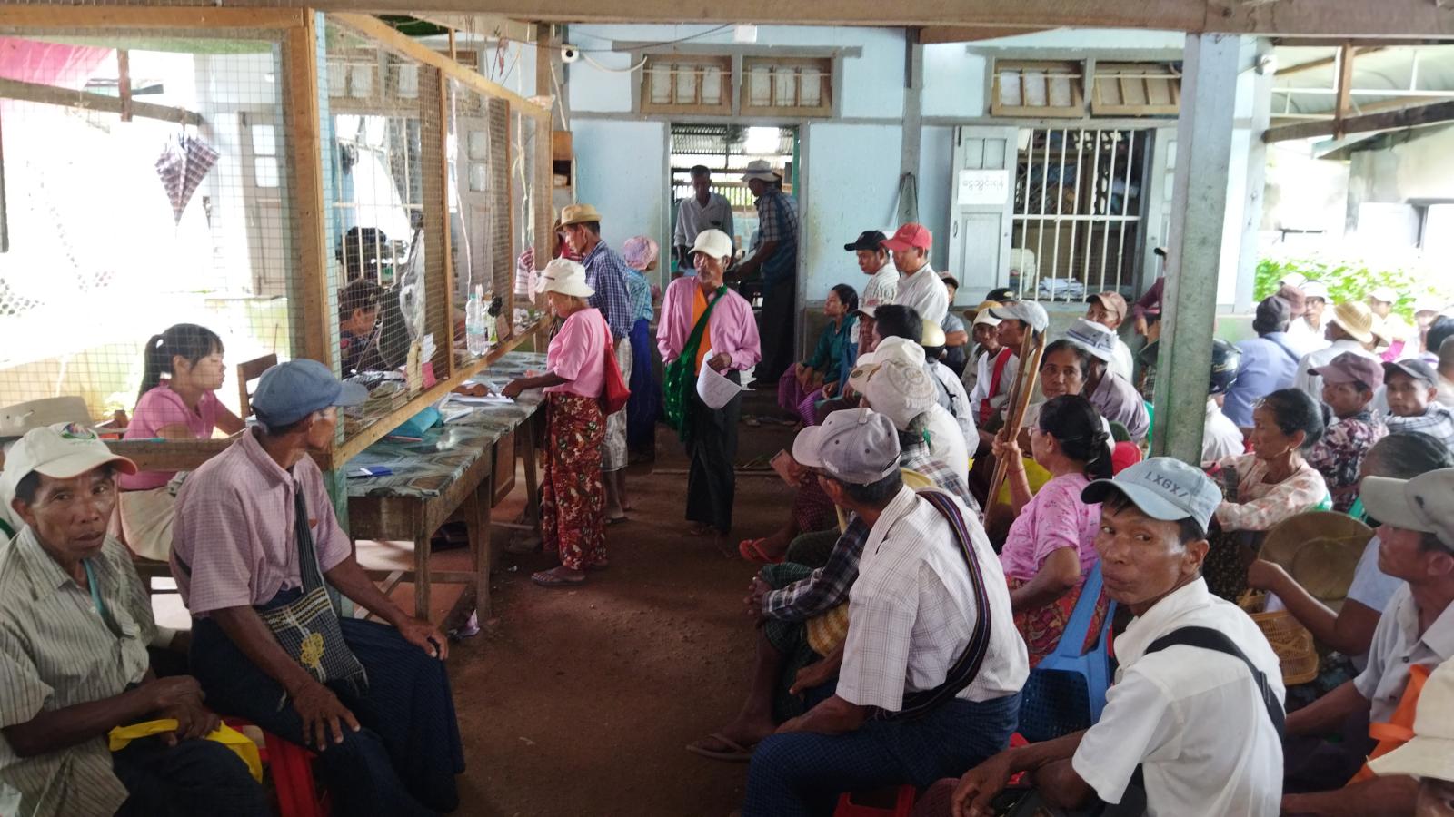 သဲကုန်းမြို့နယ်တွင် ၂၀၂၃ ၂၀၂၄ ဘဏ္ဍာနှစ်အတွက် ဆောင်းသီးနှံစိုက်ပ