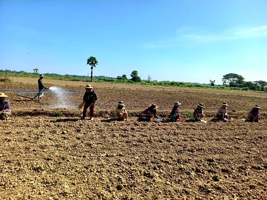 သာပေါင်းမြို့နယ် စိုက်ပျိုးထုတ်လုပ်မှု တိုးတက်မြင့်မားရေးကော်မတီဥက္ကဋ္ဌ