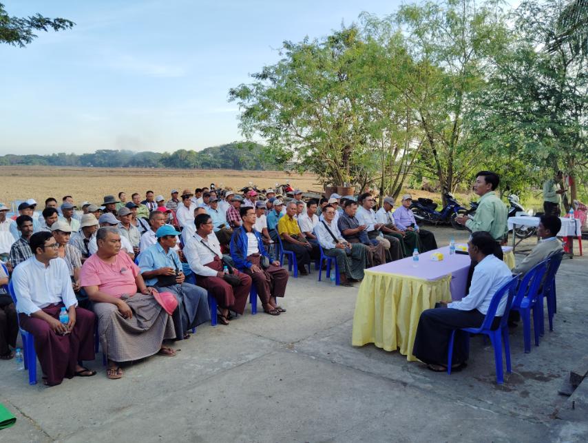 တံတားမြို့ ကဒပ္ပနကျေးရွာ၌ ဆောင်းသီးနှံသီးထပ်စွမ်းအားပြည့်စိုက်ပျိုးနိုင