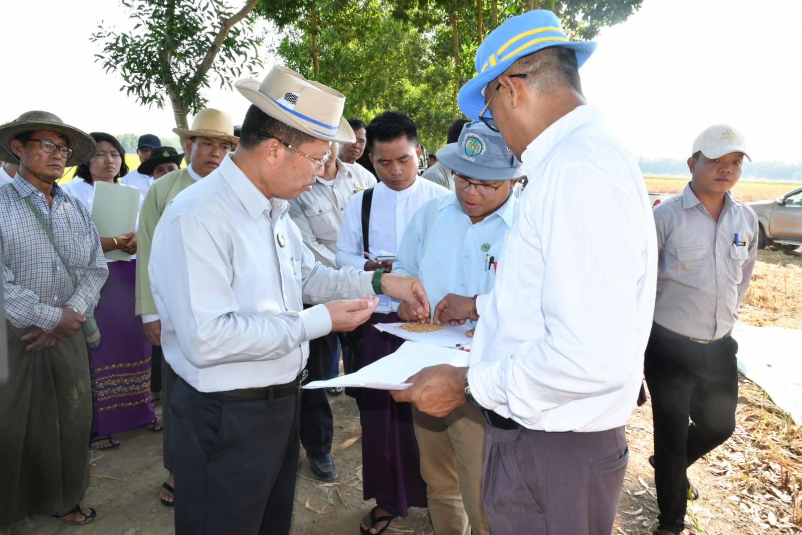 ဧရာဝတီတိုင်းဒေသကြီး ဝန်ကြီးချုပ် မြောင်းမြခရိုင်နှင့် ကျုံပျော်ခရိုင်အတ
