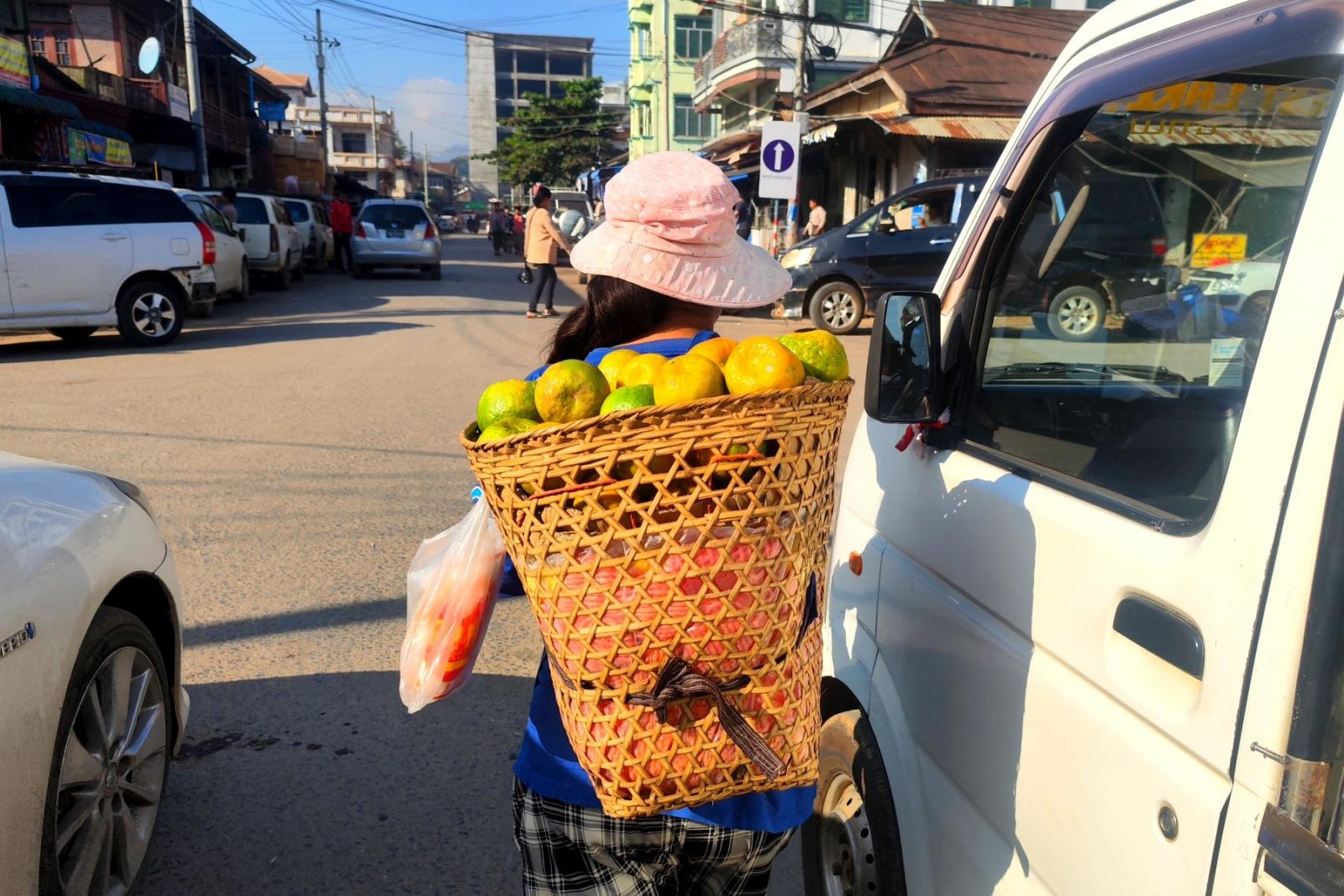 ရှမ်းပြည်နယ်မြောက်ပိုင်းအတွင်း စိုက်ပျိုးသည့် လိမ္မော်သီးများ လှိုင်လှိုင်ပေါ်နေပြီဖြစ်ကြောင်း
