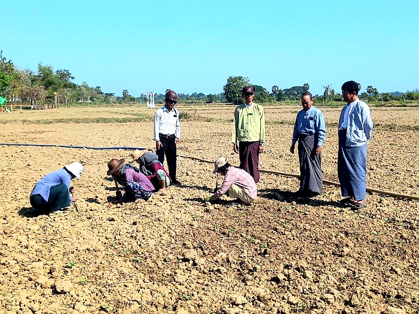 ခရိုင်စိုက်ပျိုးထုတ်လုပ်မှု တိုးတက်မြင့်မားရေးကော်မတီအဖွဲ့ဝင်များက သာပေ