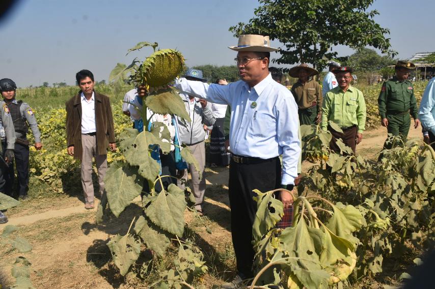 တိုင်းဒေသကြီးဝန်ကြီးချုပ် ၇၇ နှစ်မြောက် ပြည်ထောင်စုနေ့ကို ကြိုဆိုဂုဏ်ပ