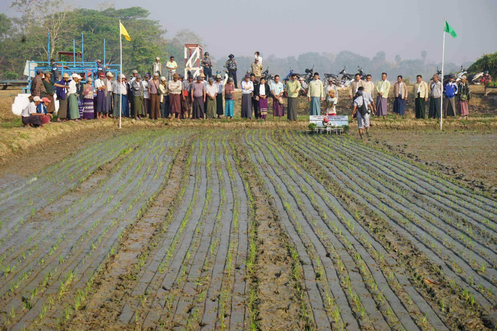 နတ်တလင်းမြို့နယ်၌ လက်ဆွဲကောက်စိုက်စက်ဖြင့် နွေစပါးစိုက်ပျိုးခြင်း ကွင