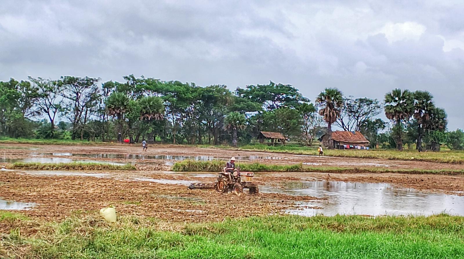 မုဒုံမြို့နယ်တွင် မိုးသီးနှံစိုက်ပျိုးရန် လယ်ယာမြေထွန်ယက်ပြုပြင်ခြင