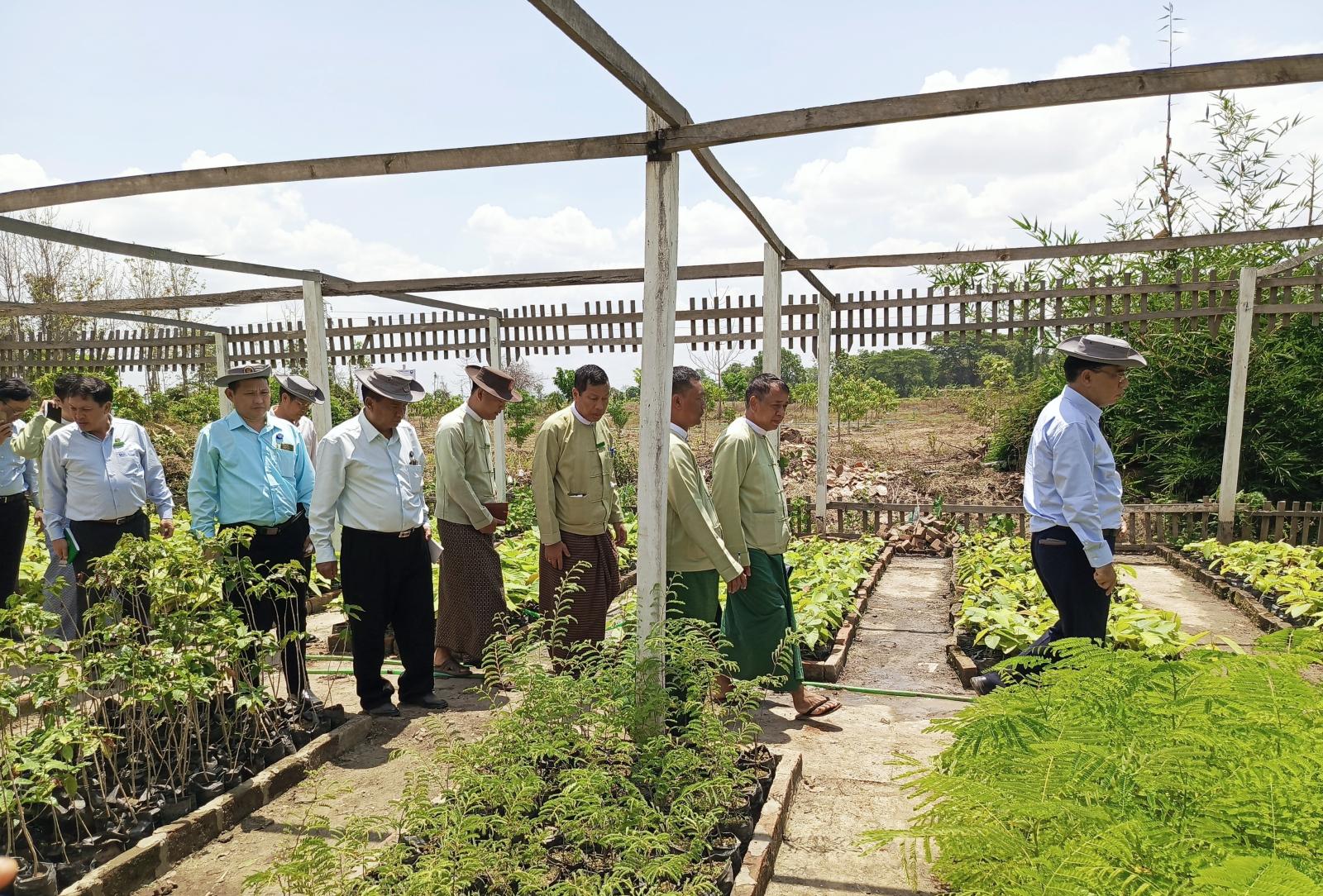 ပဲခူးတိုင်းဒေသကြီးဝန်ကြီးချုပ် ဦးမျိုးဆွေဝင်း မင်းလှမြို့နယ် သစ