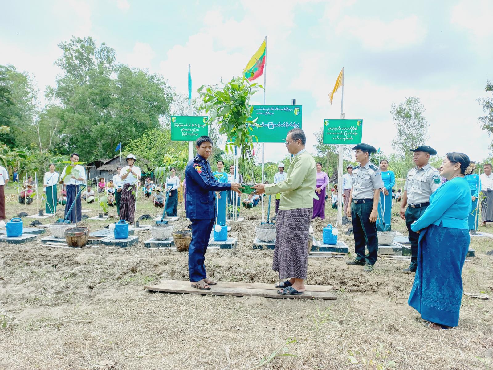 မော်လမြိုင်ကျွန်းမြို့နယ်၌ ၂၀၂၄ ခုနှစ်၊ မိုးရာသီအကြို စုပေါင်းသစ်ပင