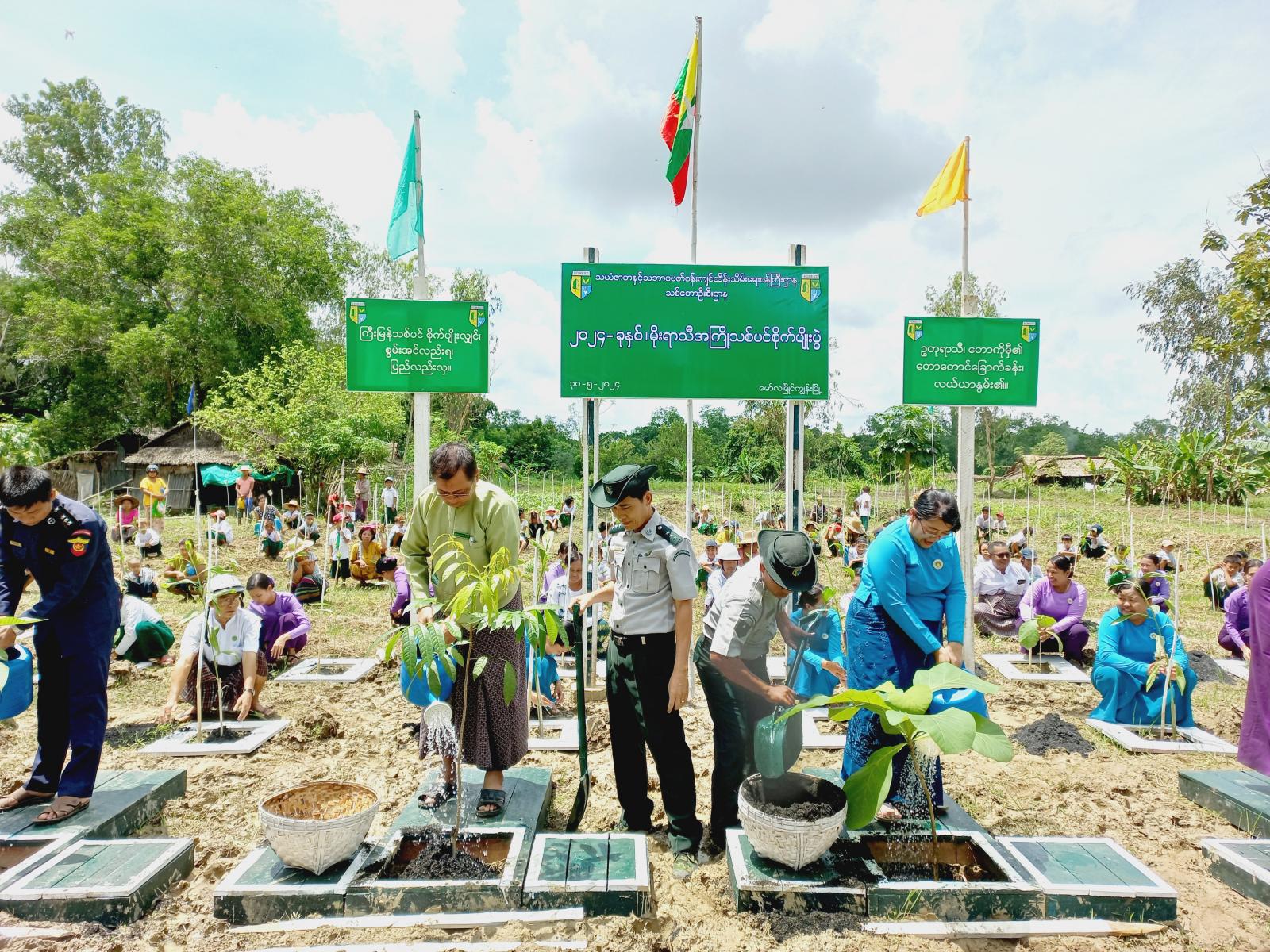 မော်လမြိုင်ကျွန်းမြို့နယ်၌ ၂၀၂၄ ခုနှစ်၊ မိုးရာသီအကြို စုပေါင်းသစ်ပင
