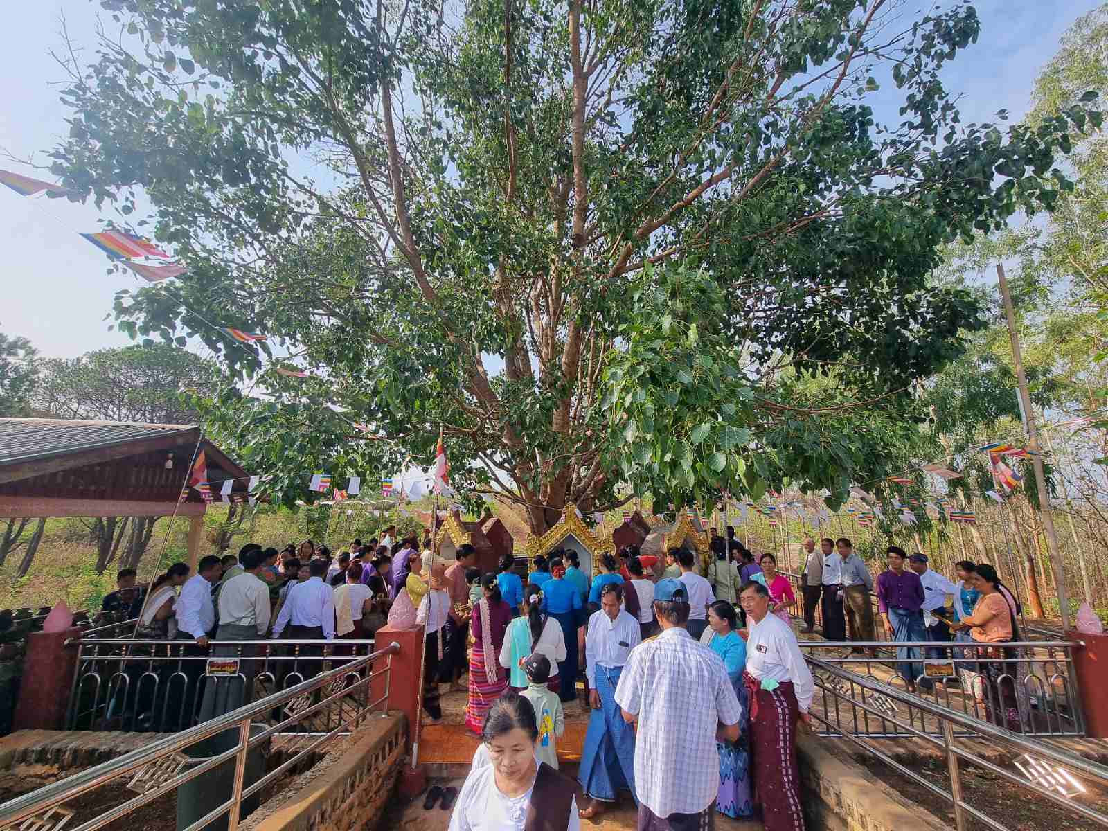 နောင်ချိုမြို့နယ်တွင် ၁၃၈၆ ခုနှစ် ကဆုန်လပြည့် ဗုဒ္ဓနေ့ ကဆုန်ညောင်ရေသွန