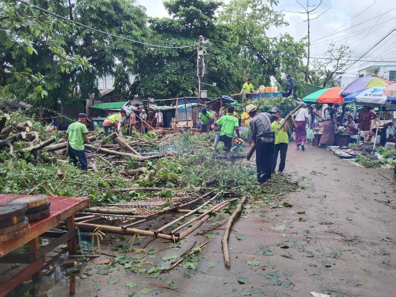 ဒဂုံမြို့သစ် မြောက်ပိုင်း မြို့နယ်၌ မိုးရွာသွန်းပြီး လေပြင်းတိုက်ခတ်မှုကြောင့် သစ်ပင်များလဲကျရာ