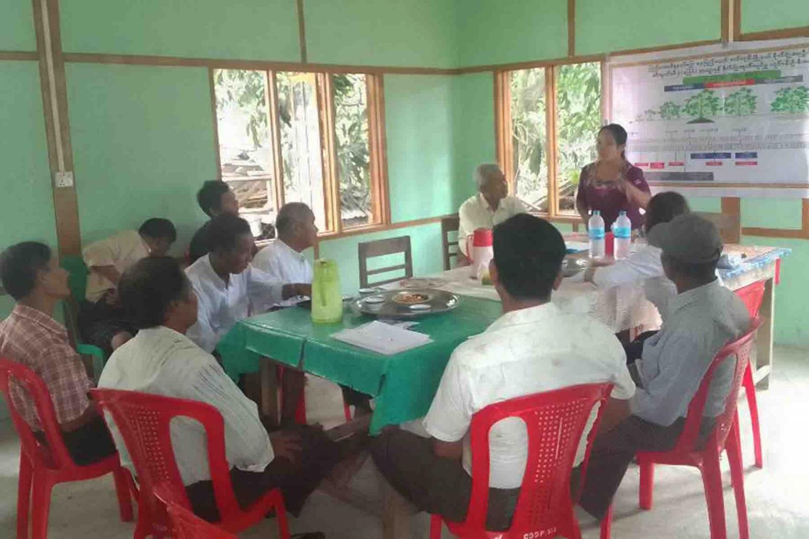 တပ်ကုန်းမြို့၌ တောင်သူများ သီးနှံအထွက်နှုန်းကောင်းမွန်ရေး အသိပညာပေးဆွေးနွေး Information And