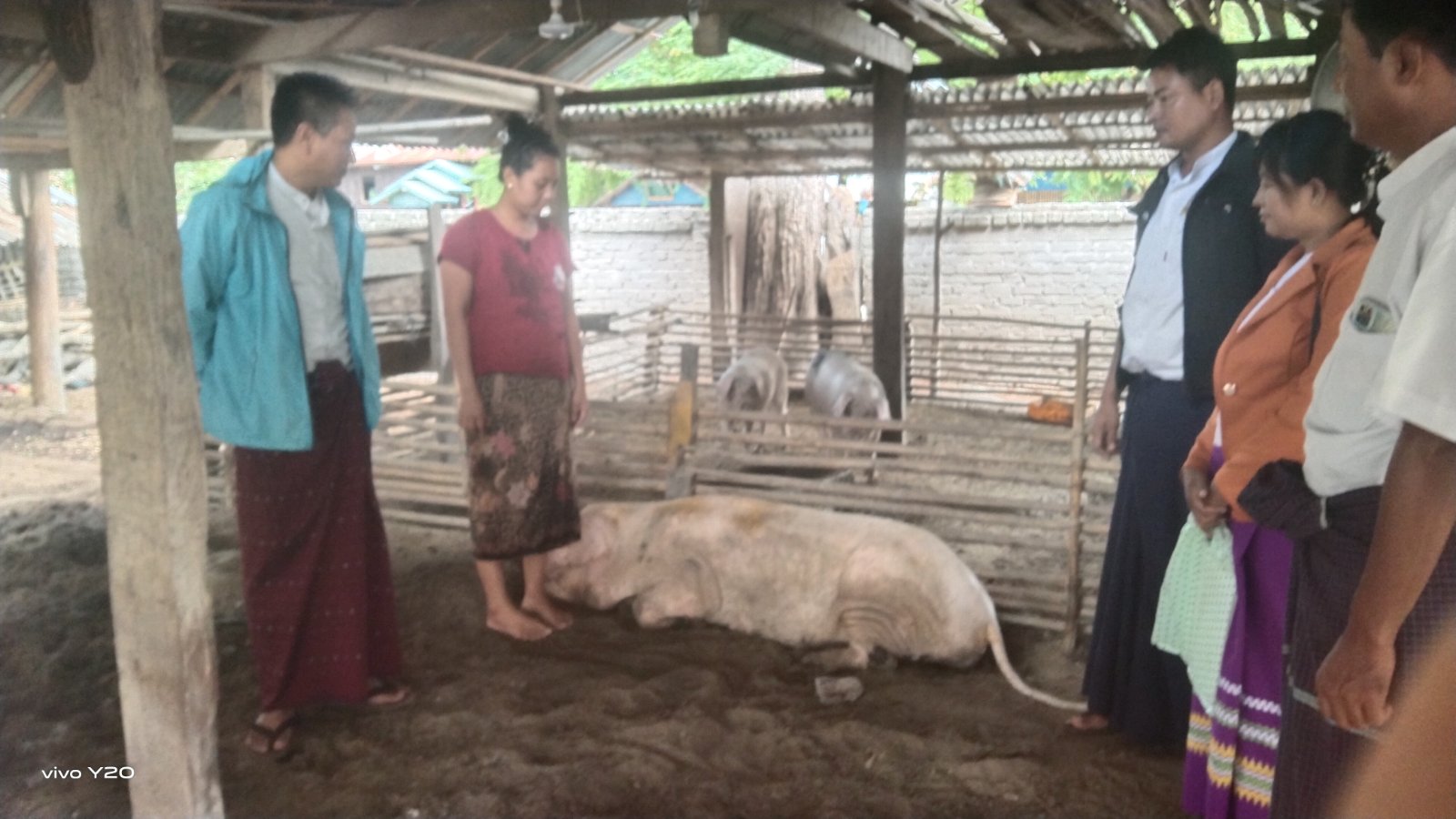 နတ်မောက်မြို့နယ် စည်သာကျေးရွာ၌ မြစိမ်းရောင်ကျေးရွာစီမံကိန်းလုပ်ငန်းများ