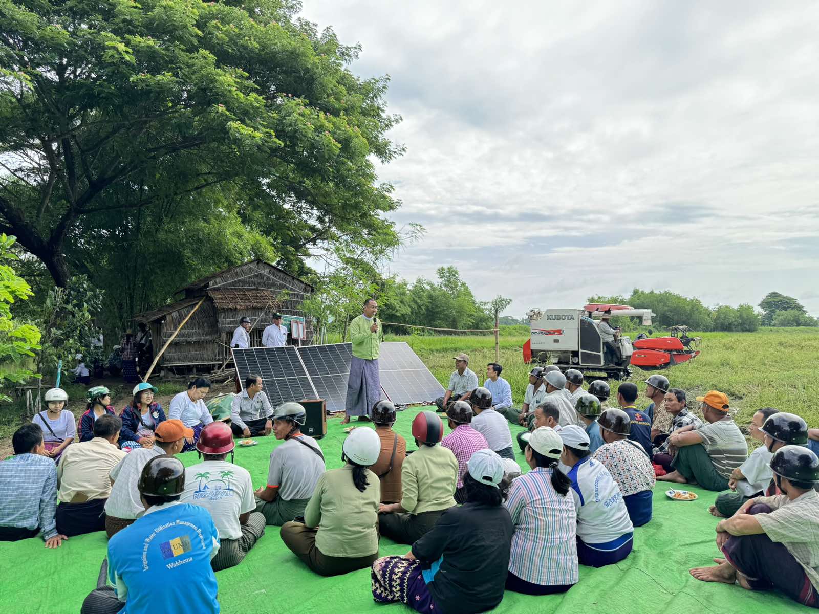 ဝါးခယ်မမြို့နယ်တွင် သုံးသီးစိုက် နှံကောက်စပါးမျိုး စံကွက်ရိတ်သိမ်းခြင