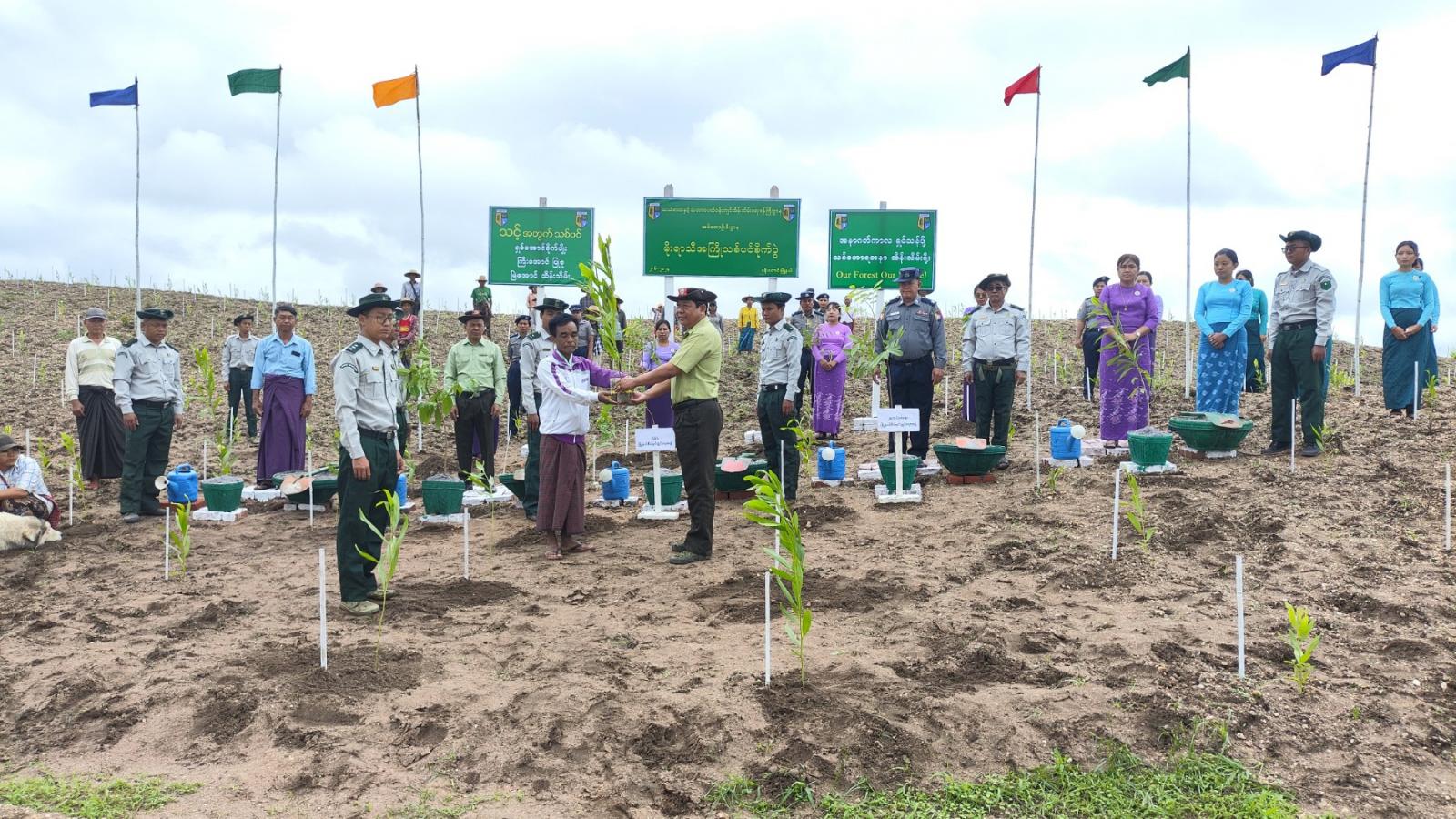 ပန်း တောင်းမြို့နယ်တွင် ၂၀၂၄ ခုနှစ်၊ မိုးရာသီ အကြို သစ်ပင်စိုက်ပျိုးပ