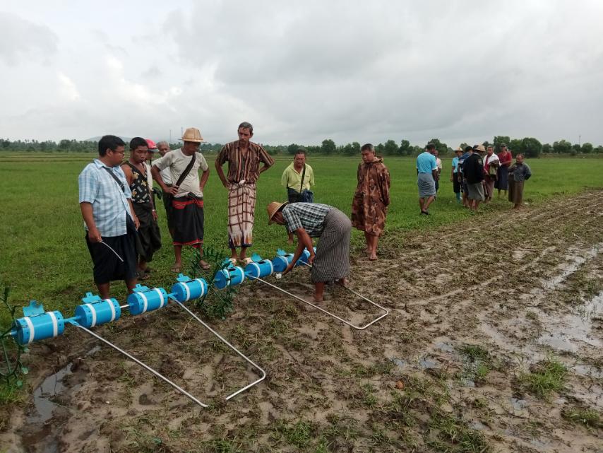 ကျိုက်မရော၌ ၂၀၂၄ ၂၀၂၅ ခုနှစ်အတွက် မိုးစပါးစိုက်ဧက ၅၆၀၁၂ စိုက်ပျိုးရန်လ