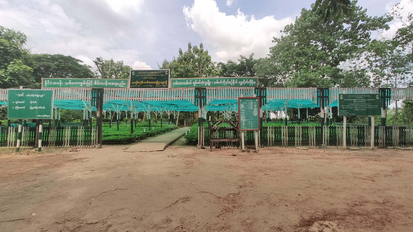 ကြို့ပင်ကောက်မြို့နယ် ဒေသတွင်းစိမ်းလန်းစိုပြေရေးအတွက် မြို့နယ်သစ
