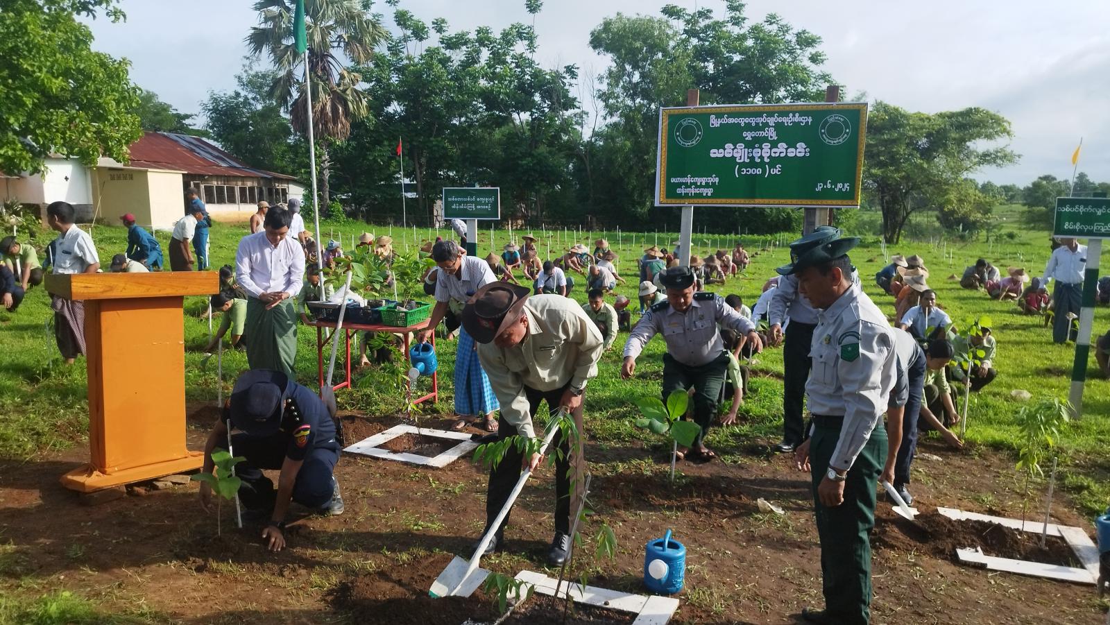 ရွှေတောင်မြို့နယ်တွင် ၂၀၂၄ခုနှစ်၊ မိုးရာသီသစ်မျိုးစုံ စိုက်ခင်းသစ်ပင