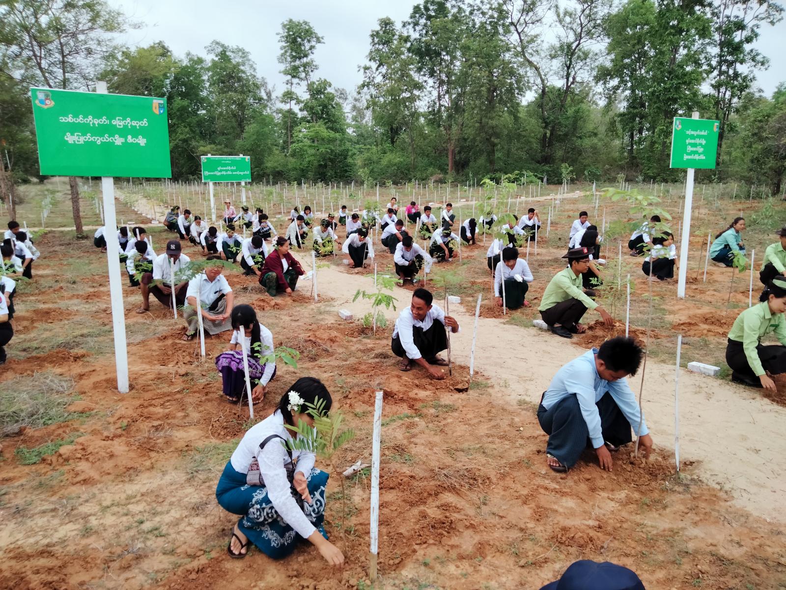 နတ်မောက်မြို့နယ်၌ ၂၀၂၄ ခုနှစ် မိုးရာသီသစ်ပင်စိုက်ပျိုးပွဲတော်ကျင်းပ