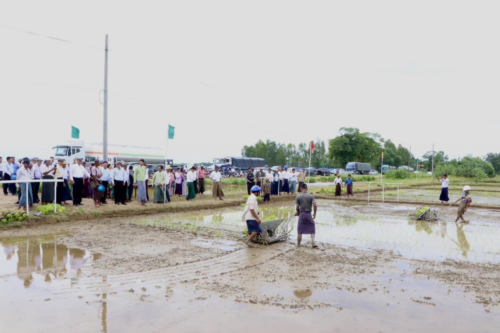 ပဲခူးတိုင်းဒေသကြီးဝန်ကြီးချုပ်ဦးမျိုးဆွေဝင်း ညောင်လေးပင်ခရိုင်၊ ဒိုက်ဦးမြို့နယ်အတွင်း စိုက်ပ