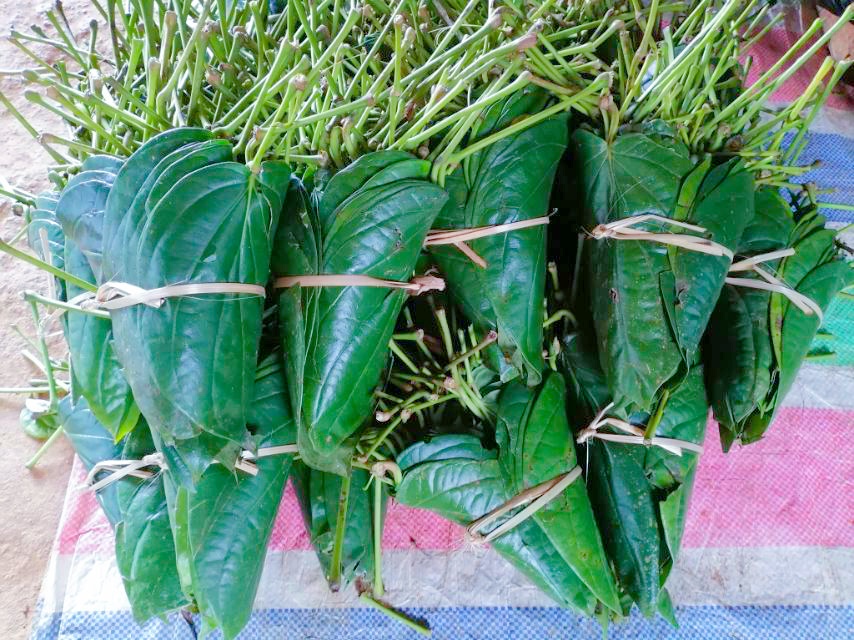 လိပ်သိုဒေသတွင် ကွမ်းကြမ်းများ အရောင်းအဝယ် ဖြစ်သောကြောင့် ကွမ်းစိုက်တောင