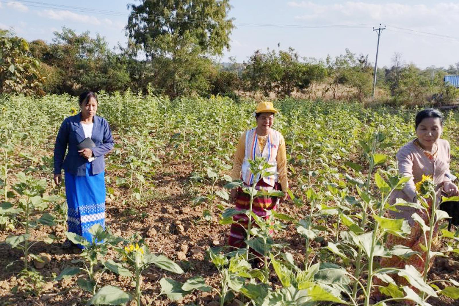 နတ်မောက်မြို့၌ စာဖတ်ရှိန်မြှင့်တင်ရေး အထက်တန်းအဆင့် စာစီစာကုံးပြိုင်ပ
