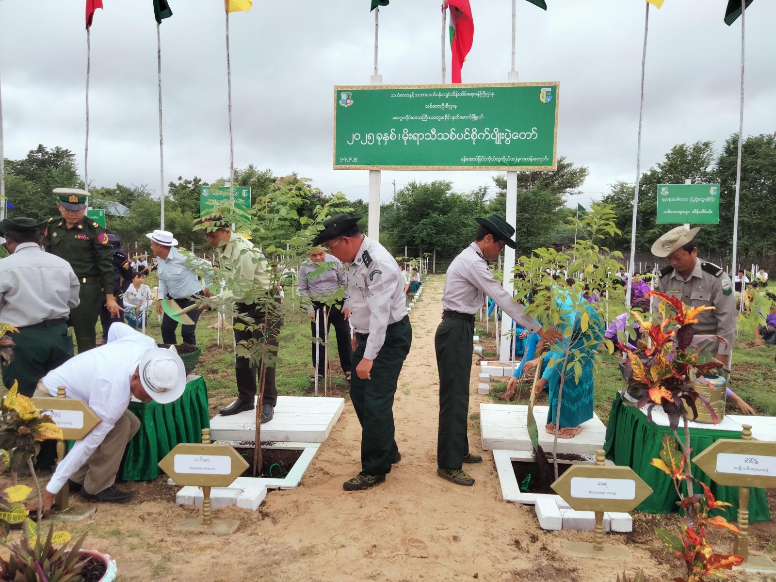 နတ်မောက်မြို့၌ ၂၀၂၅ ခုနှစ် မိုးရာသီသစ်ပင်စိုက်ပျိုးပွဲတော်ကျင်းပ